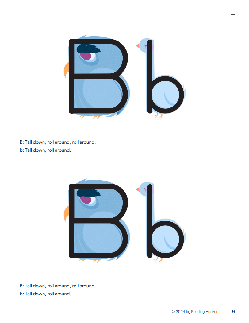 Letter Formation Cards in Reading Horizons® Discovery Software